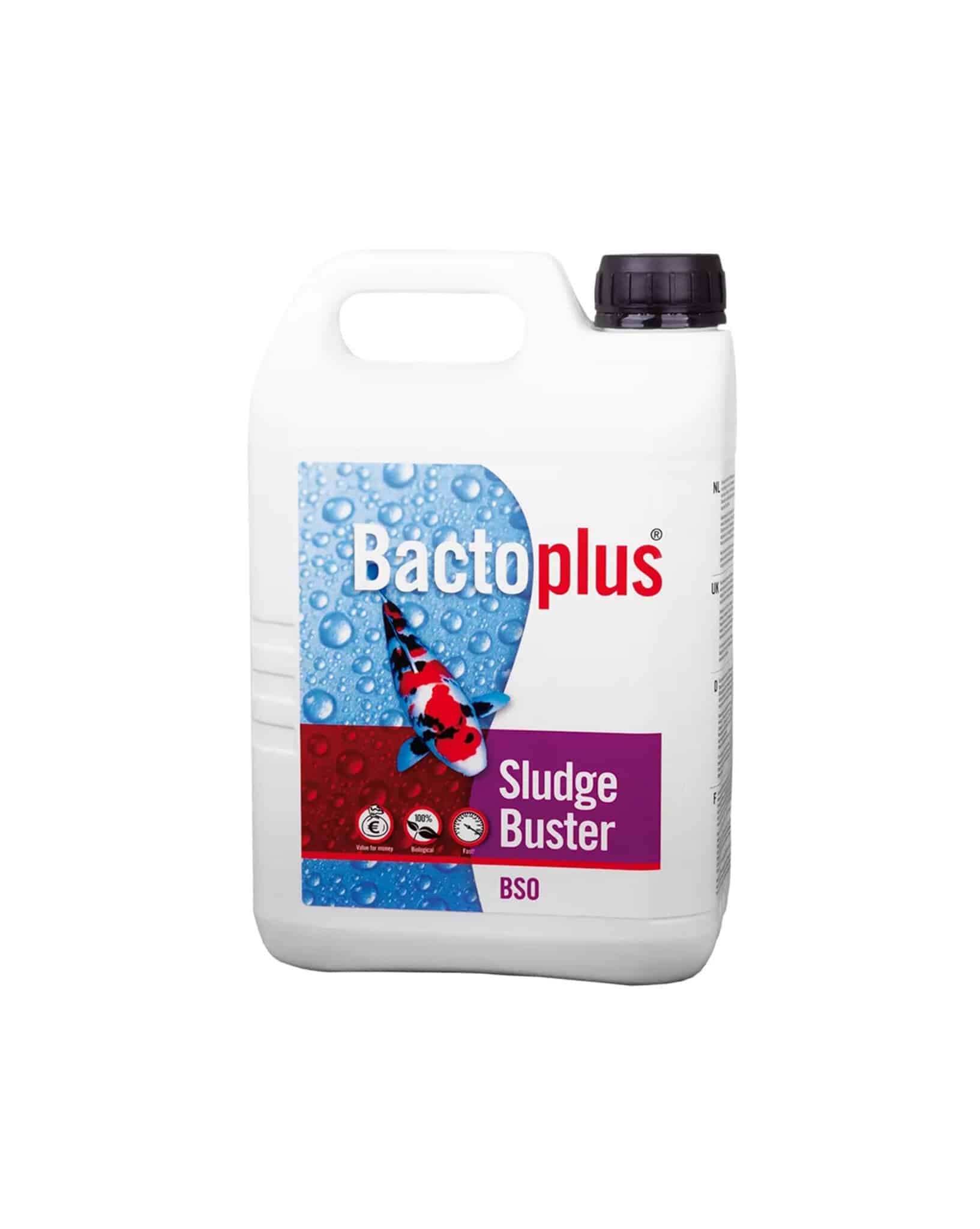 Bactoplus Sludge Buster BSO / Bactérie - 2,5 litres - AFKOI France